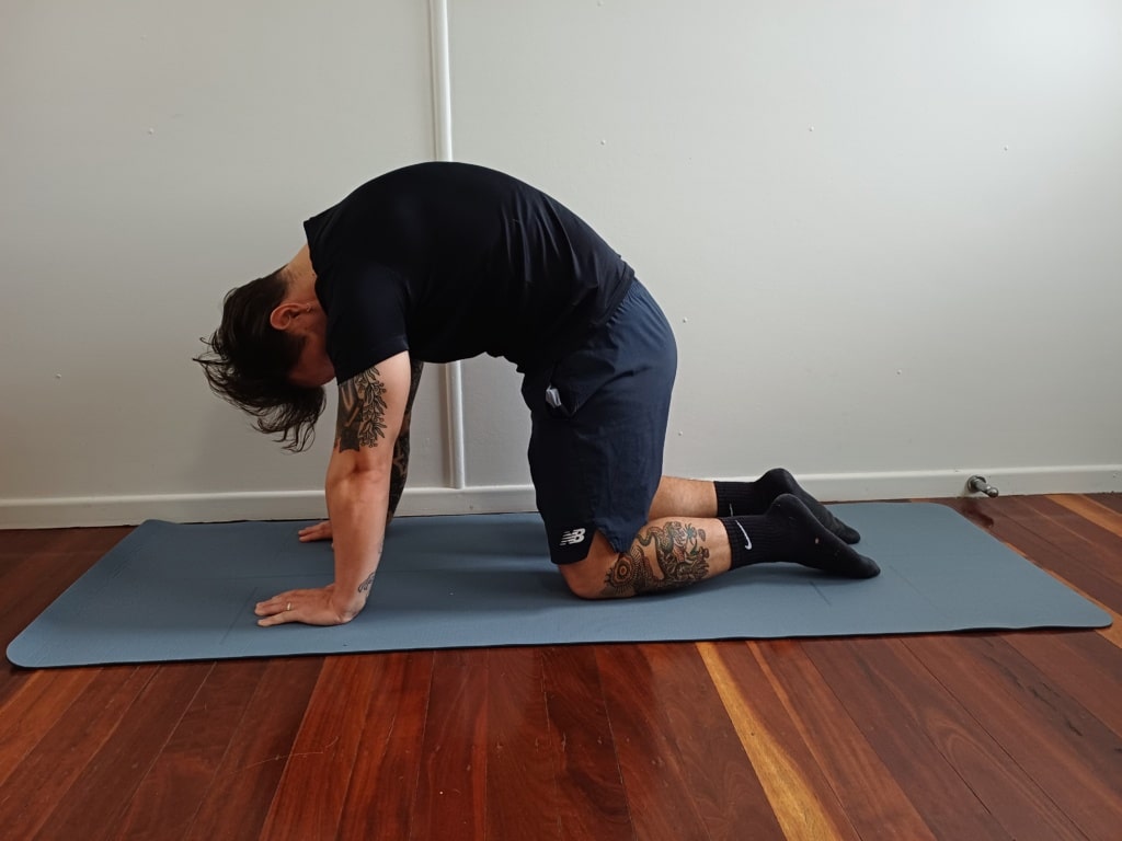 The Cat/Cow Exercise - Unlock Core Stability & Mobility